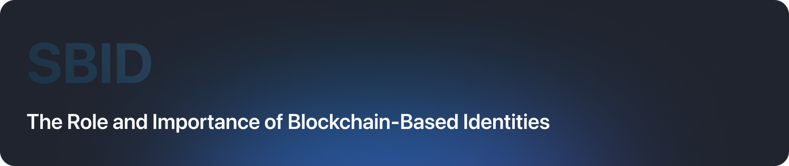 November Highlights: Key Metrics and Progress in SBID